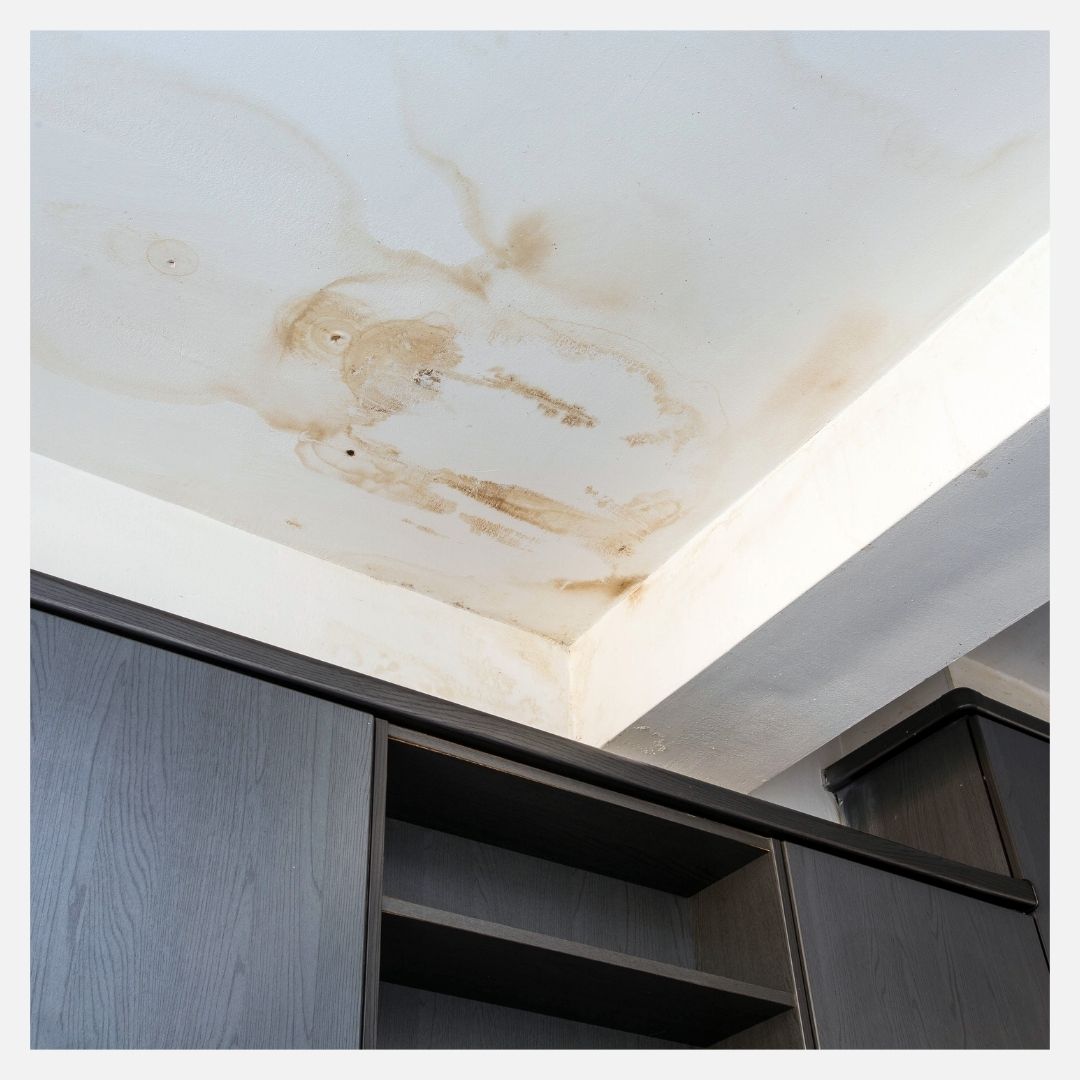 Learn to Detect Water Damage Early: Roof Tips