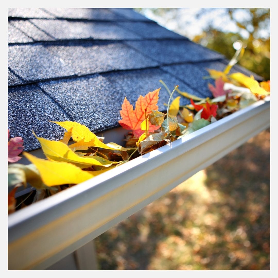 Learn to Detect Water Damage Early: Roof Tips